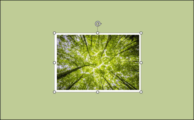 How to Insert an Image into a PowerPoint Presentation - Simon Sez IT